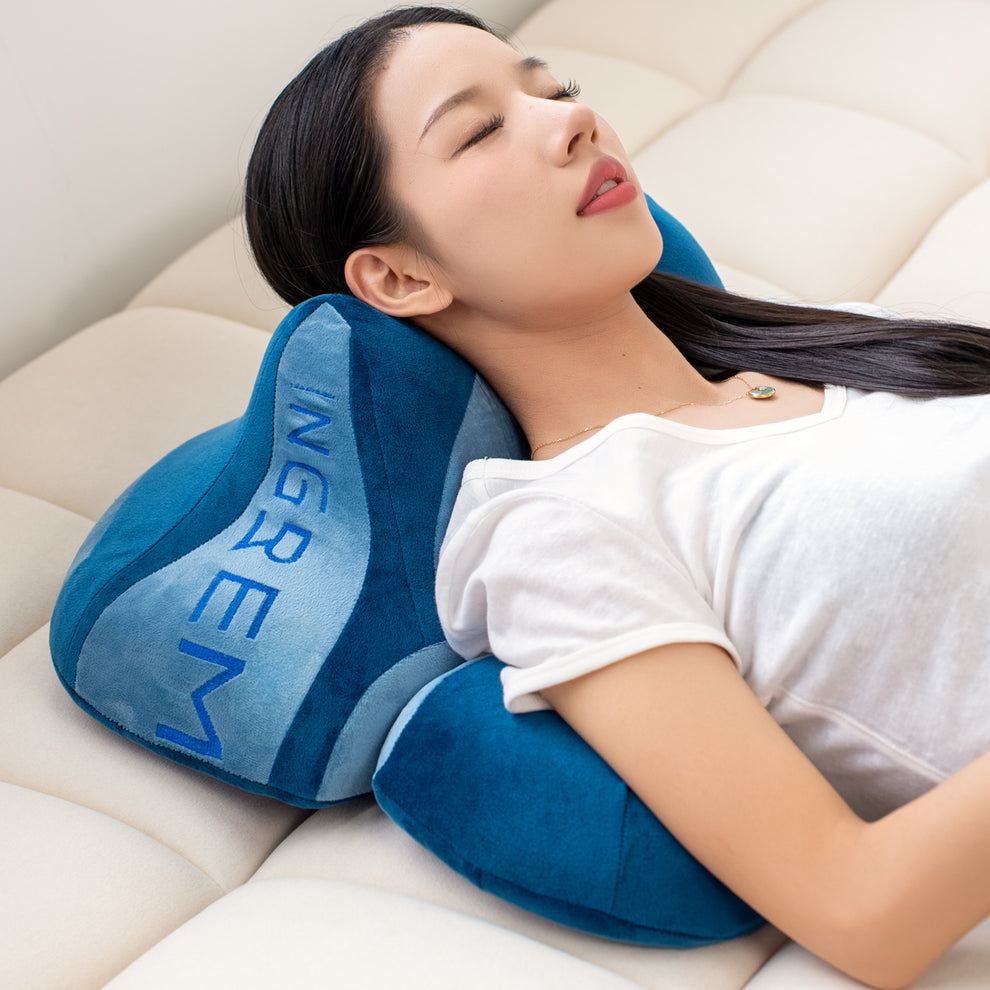 Fat cat pillow(with three color pillowcase) – IngremGamingWorkstation